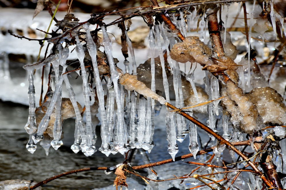 ledas - Visuotinė lietuvių enciklopedija