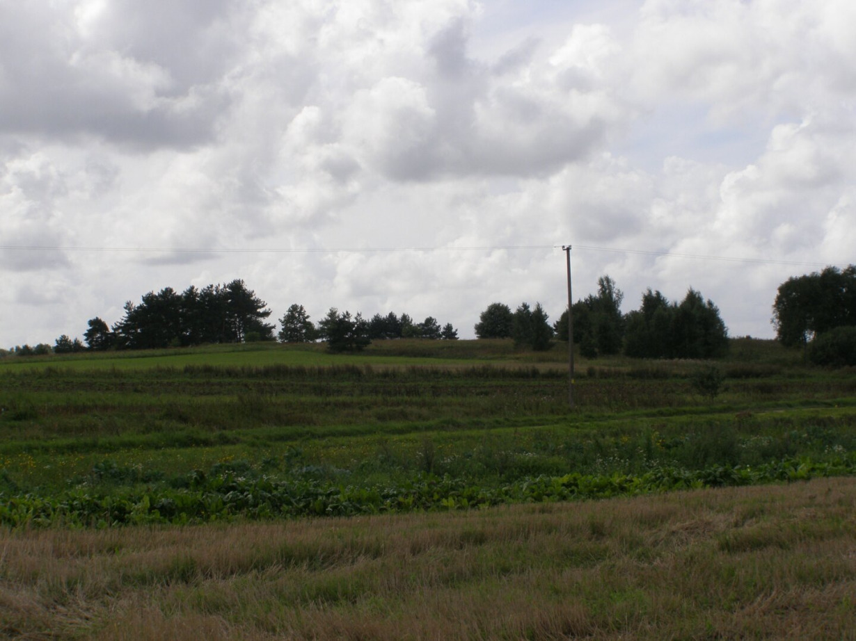 Kvecių pilkapynas - Visuotinė lietuvių enciklopedija