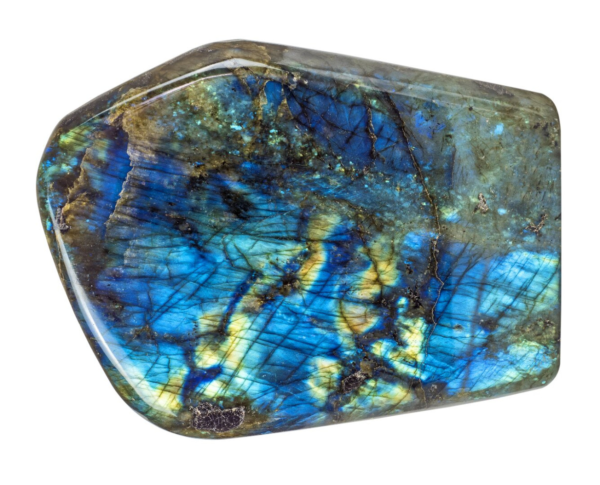 labradoras - Visuotinė lietuvių enciklopedija