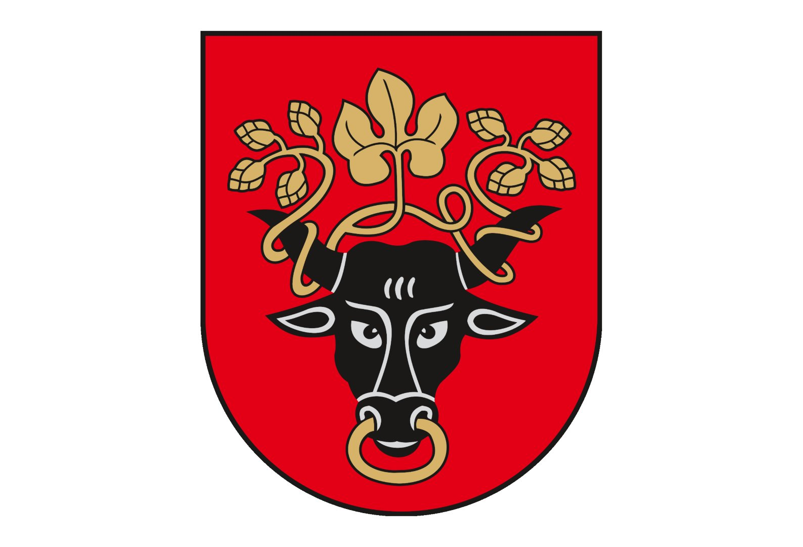 Pasvalys - Visuotinė lietuvių enciklopedija