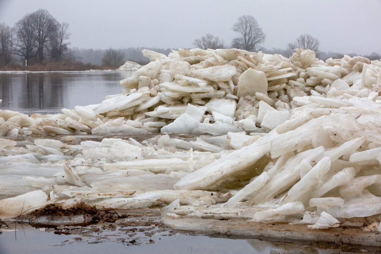 ledas - Visuotinė lietuvių enciklopedija