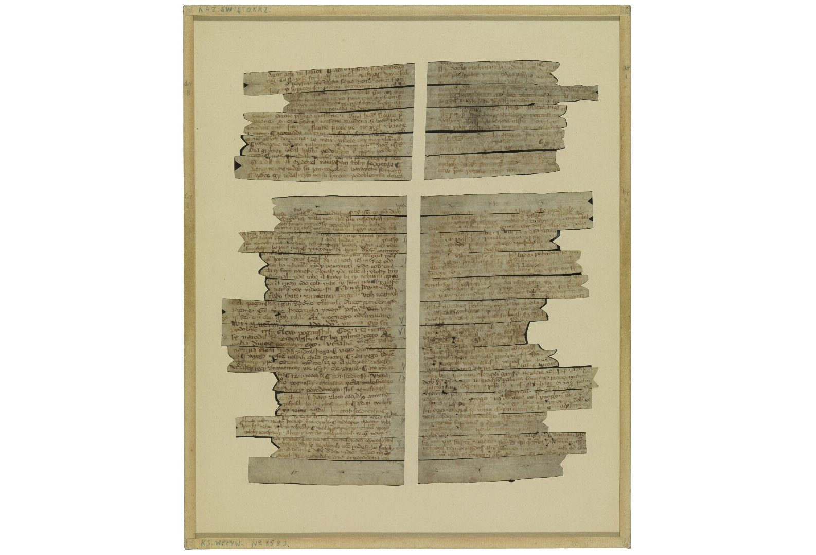 lenkų kalba - Visuotinė lietuvių enciklopedija