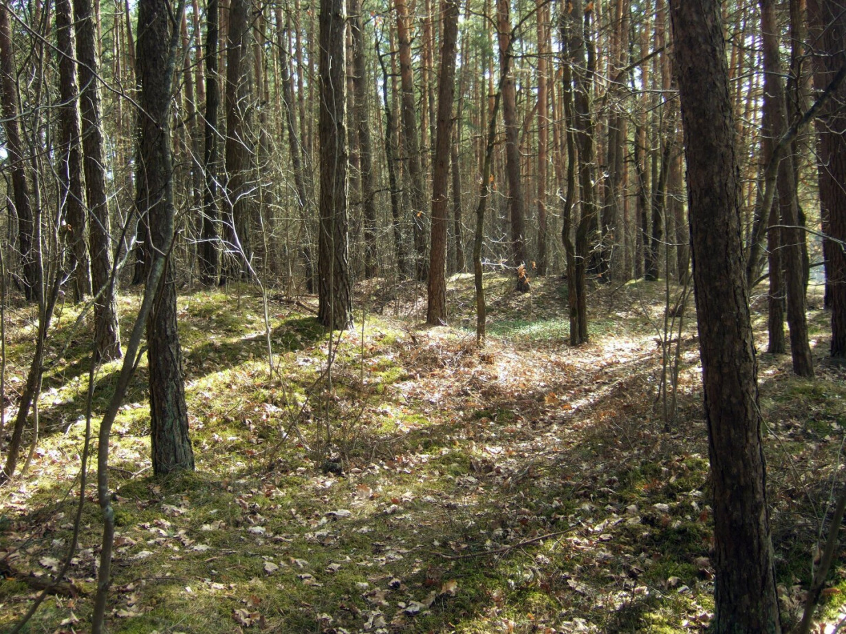 Grigiškių pilkapynas - Visuotinė lietuvių enciklopedija