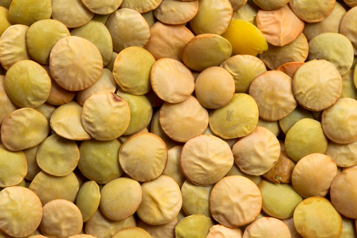 grūdai - Visuotinė lietuvių enciklopedija