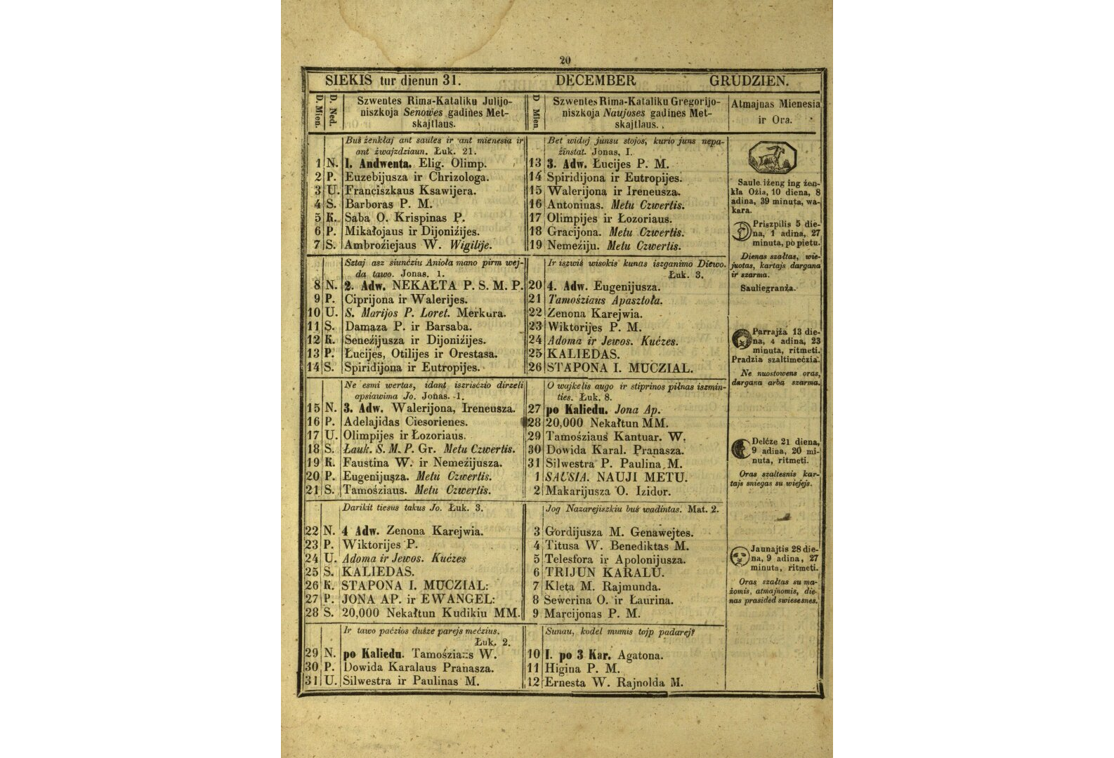 gruodis - Visuotinė lietuvių enciklopedija