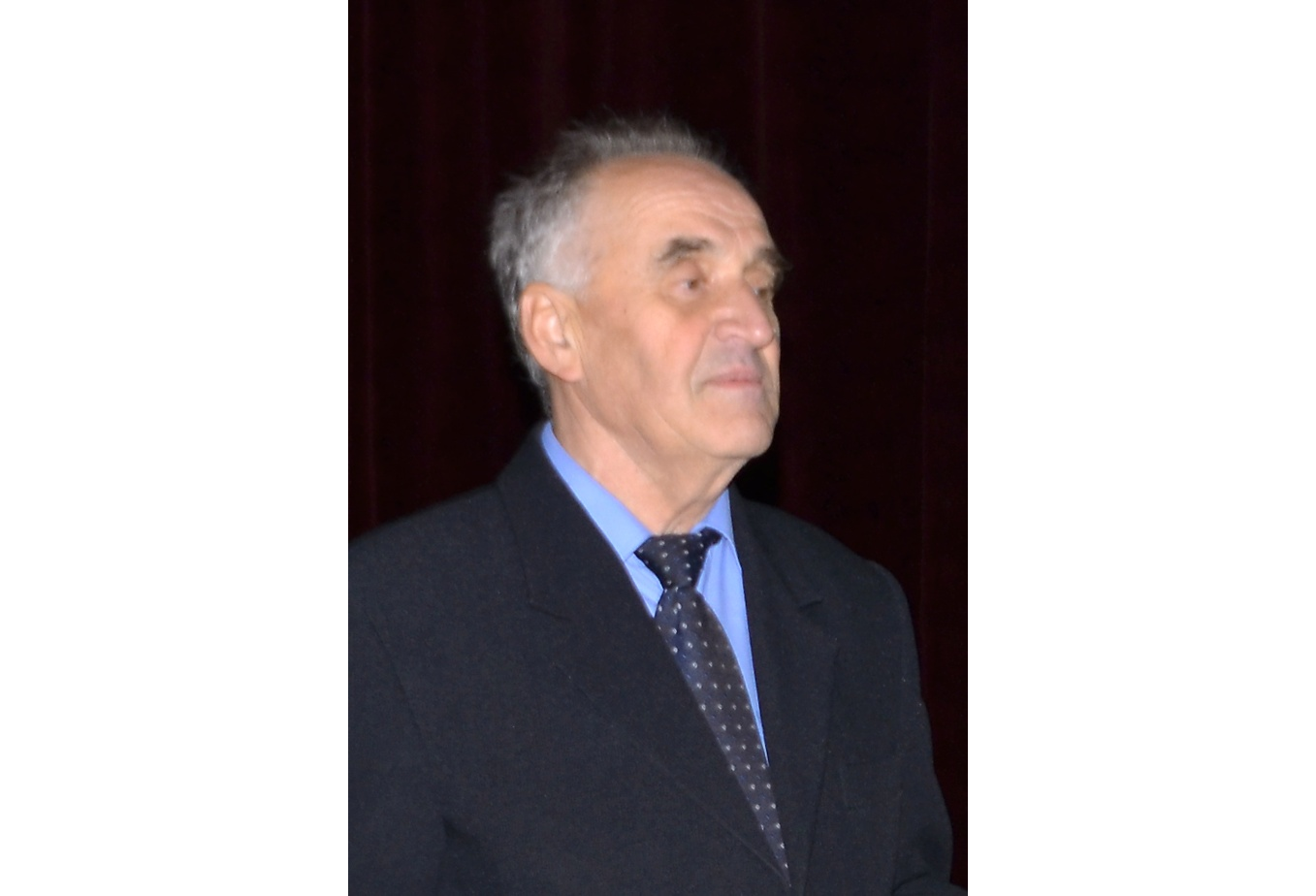 Aloyzas Gudonis - Visuotinė lietuvių enciklopedija