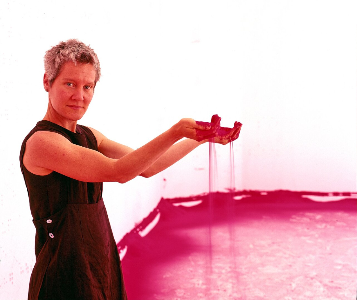 Ann Hamilton - Visuotinė lietuvių enciklopedija