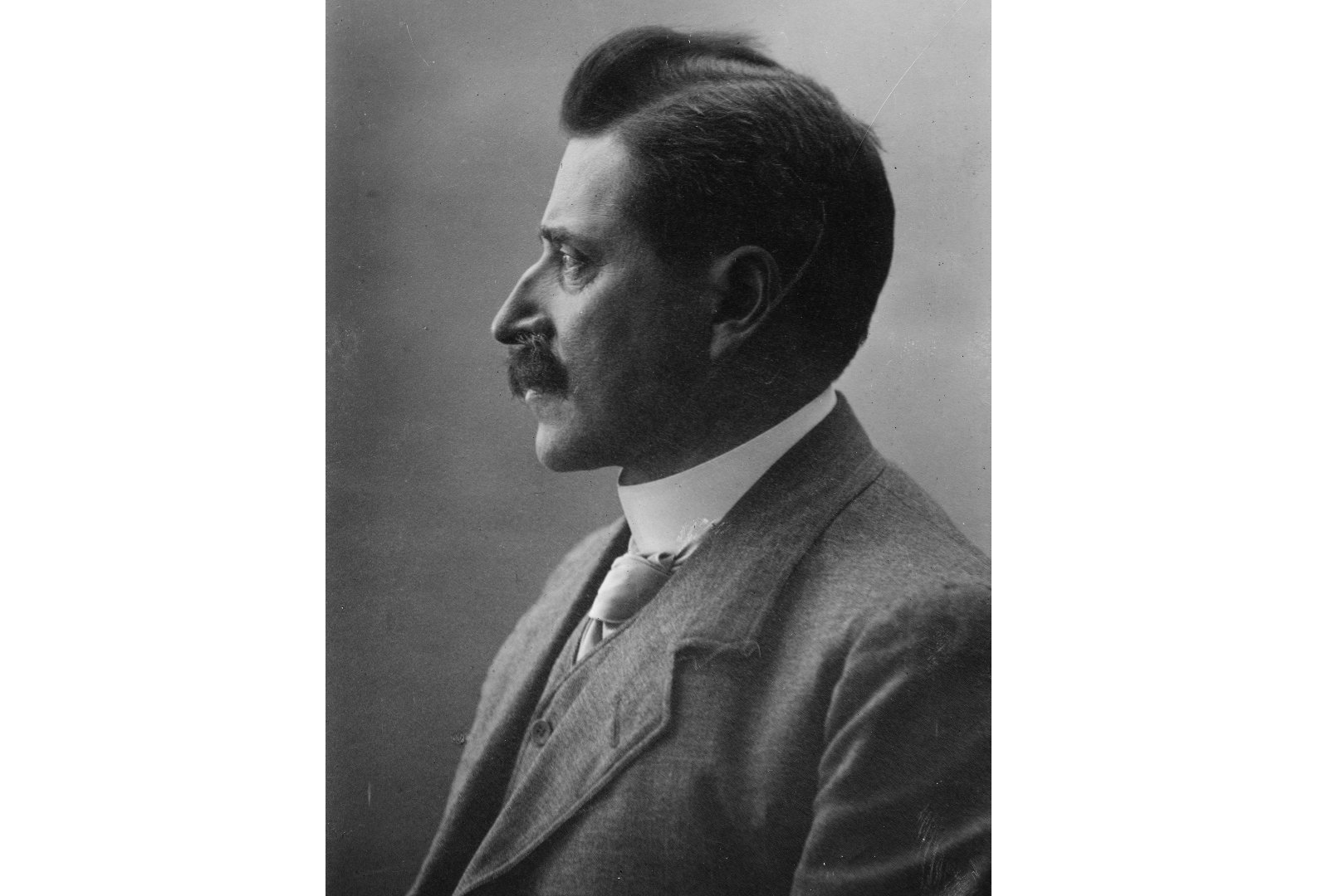 Verner von Heidenstam - Visuotinė lietuvių enciklopedija