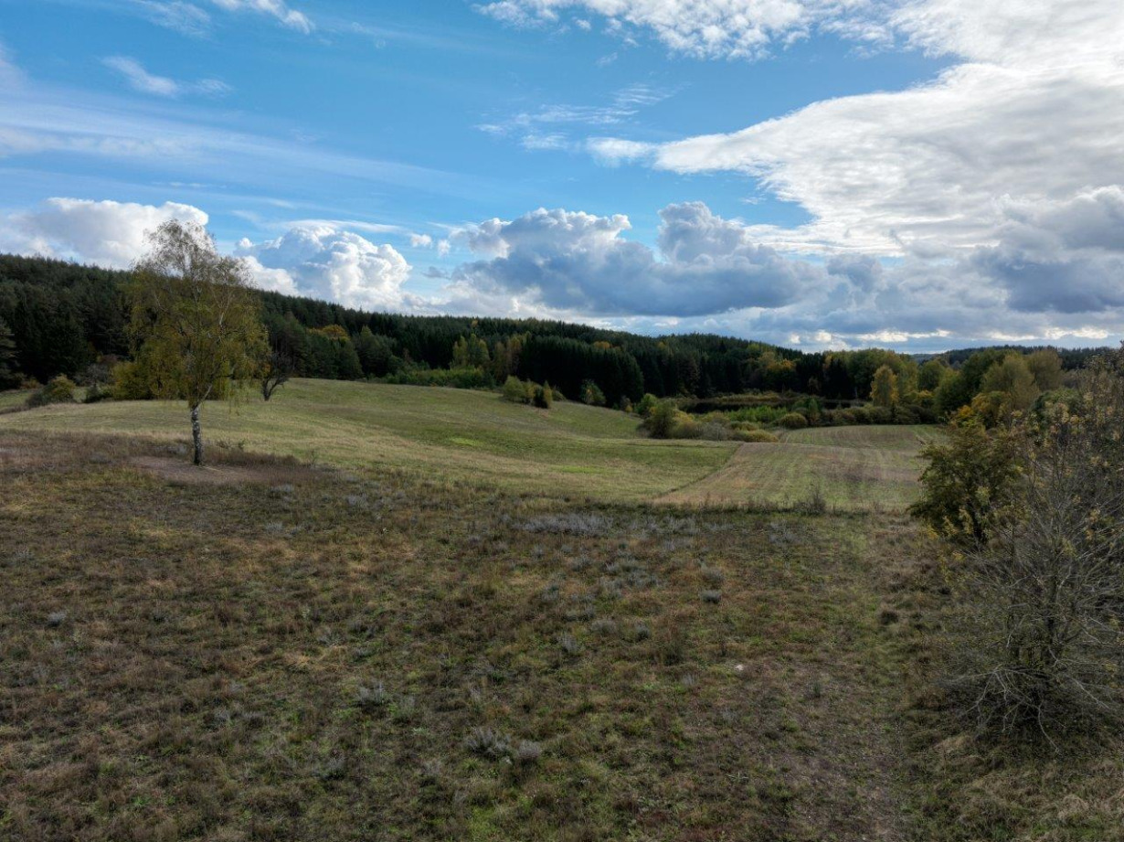 Pavištyčio kalnas - Visuotinė lietuvių enciklopedija