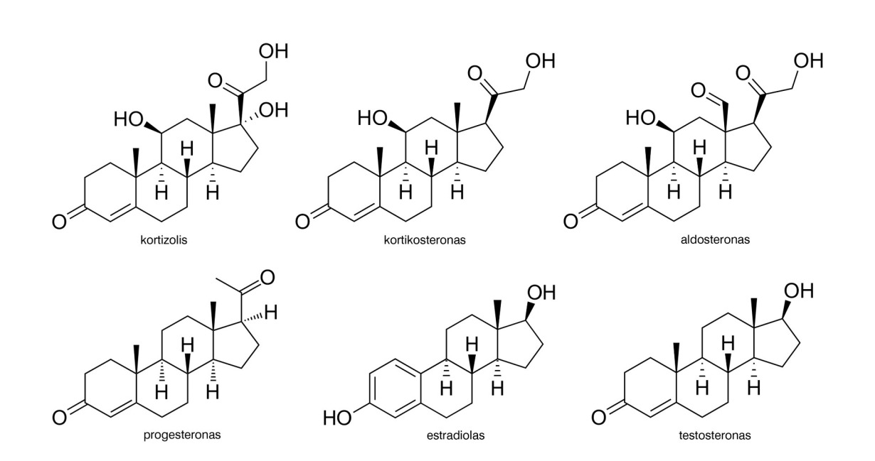 hormonai - Visuotinė lietuvių enciklopedija