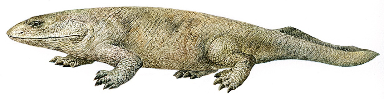 ichtiostegos - Visuotinė lietuvių enciklopedija