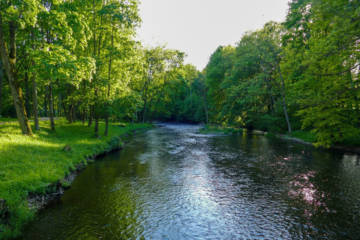 Iecava - Visuotinė lietuvių enciklopedija