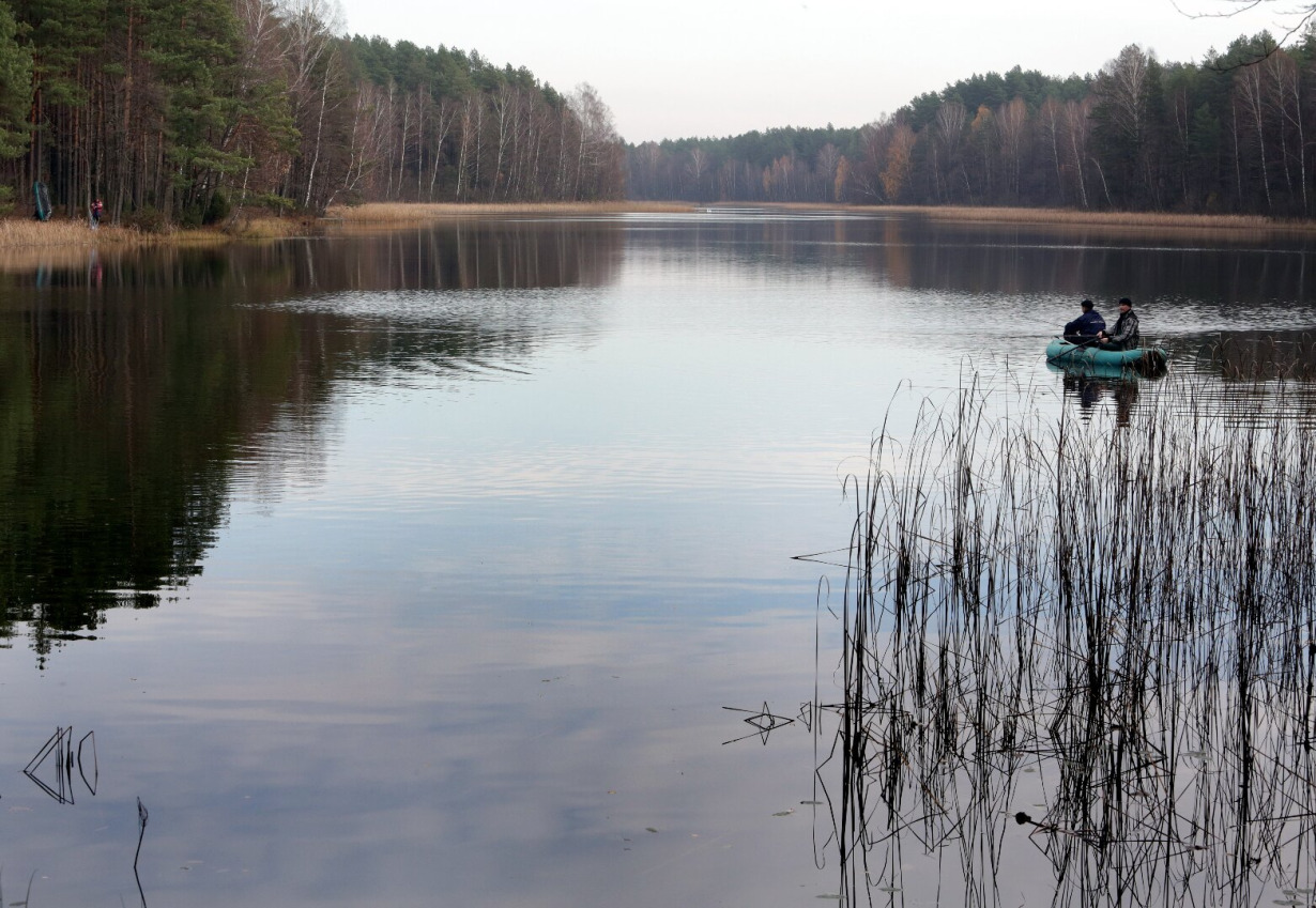 Ilgis - Visuotinė lietuvių enciklopedija