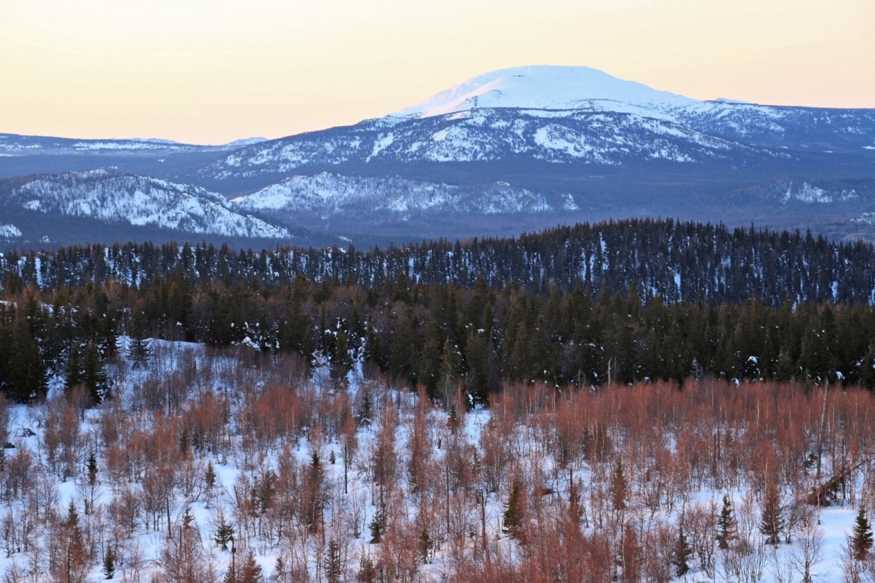 Jamantau - Visuotinė lietuvių enciklopedija