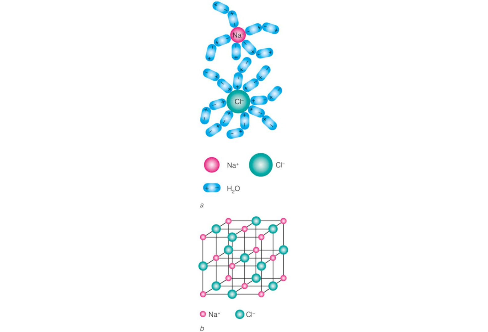 jonas - Visuotinė lietuvių enciklopedija