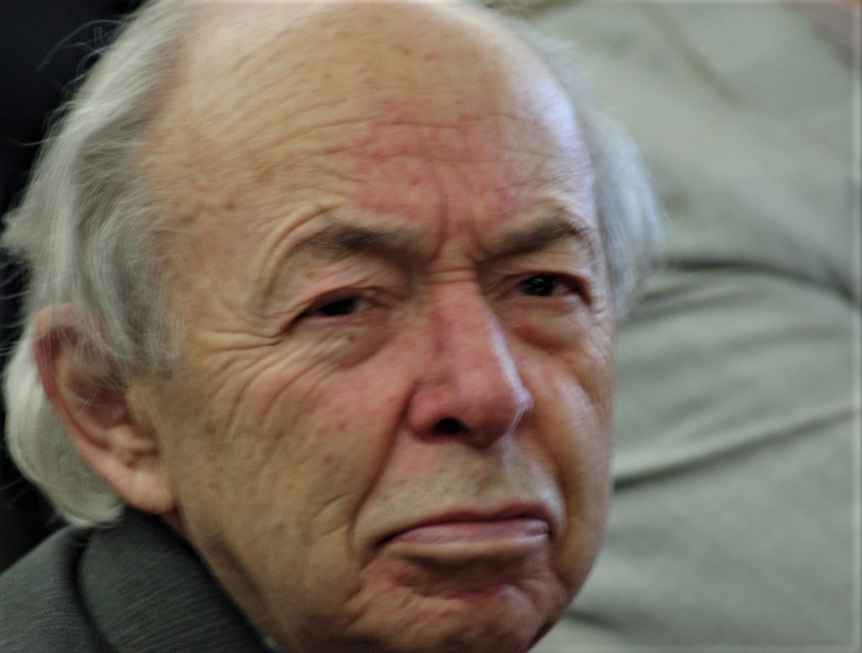 Dovydas Judelevičius - Visuotinė lietuvių enciklopedija