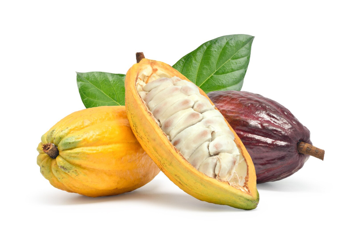 kakava - Visuotinė lietuvių enciklopedija