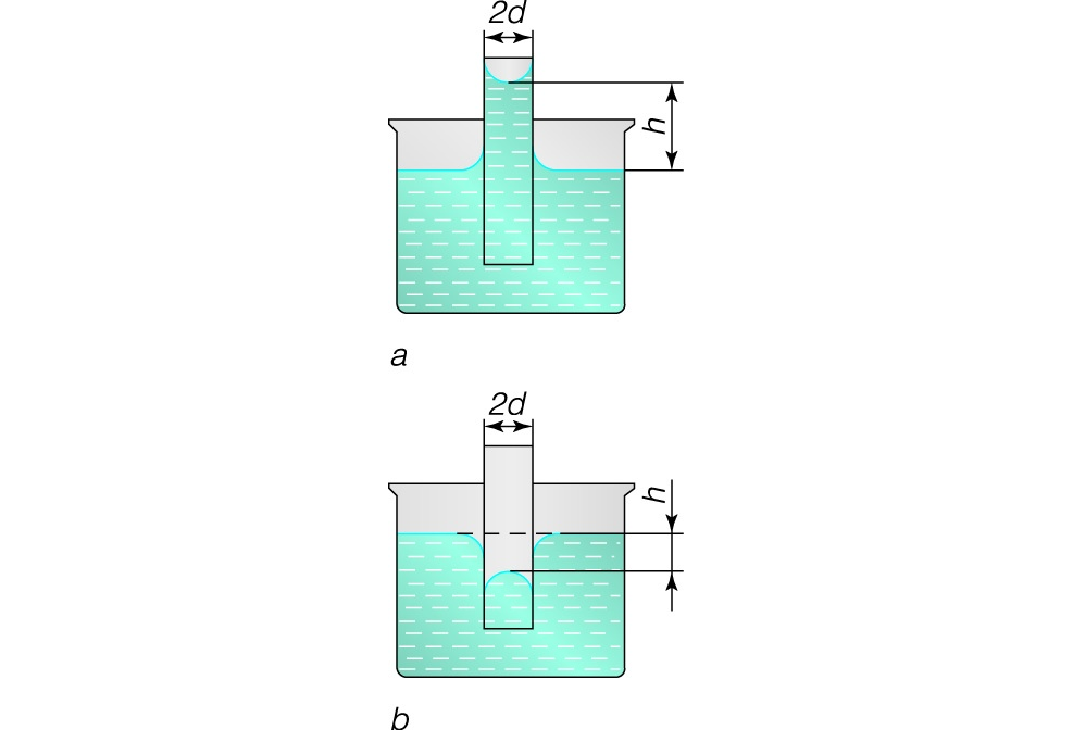 kapiliariniai reiškiniai - Visuotinė lietuvių enciklopedija