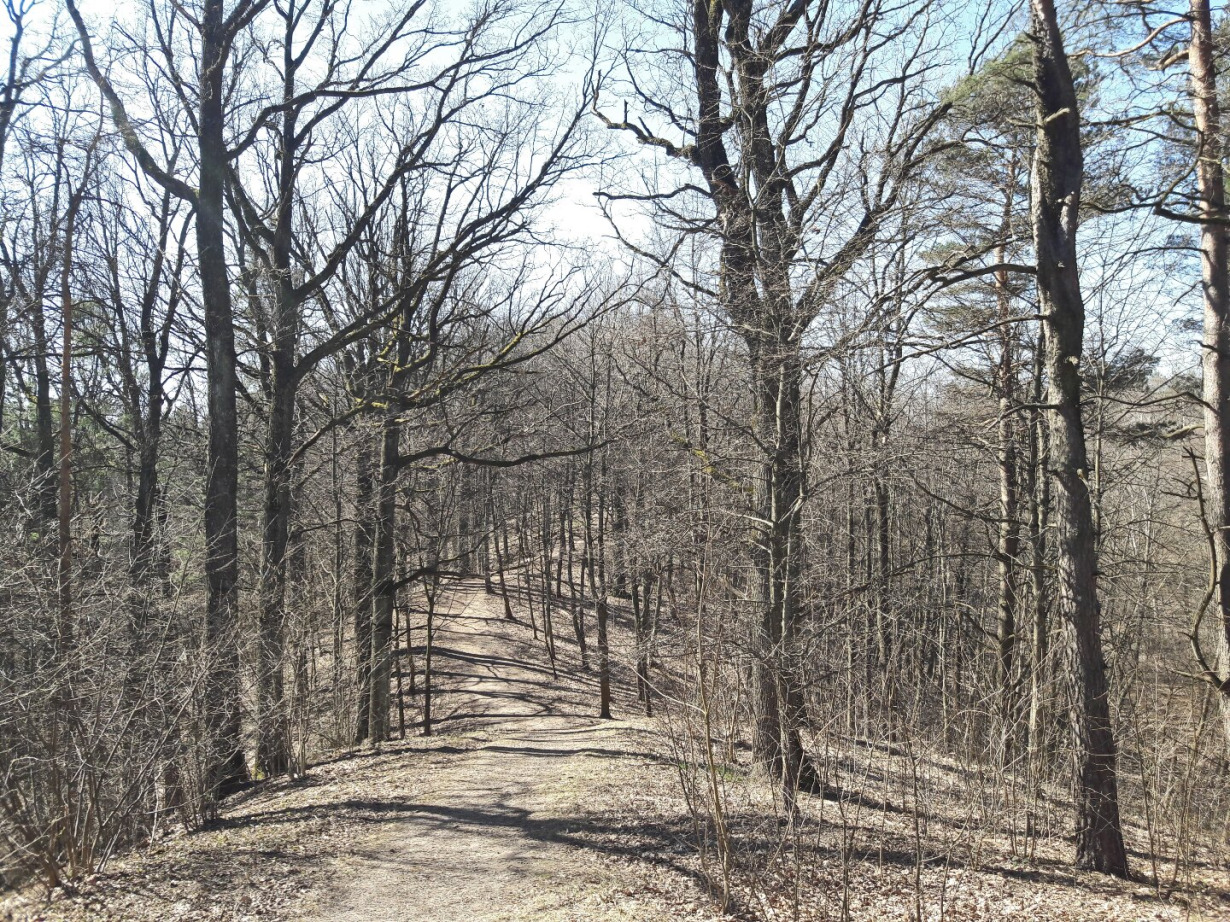 Karoliniškių draustinis - Visuotinė lietuvių enciklopedija