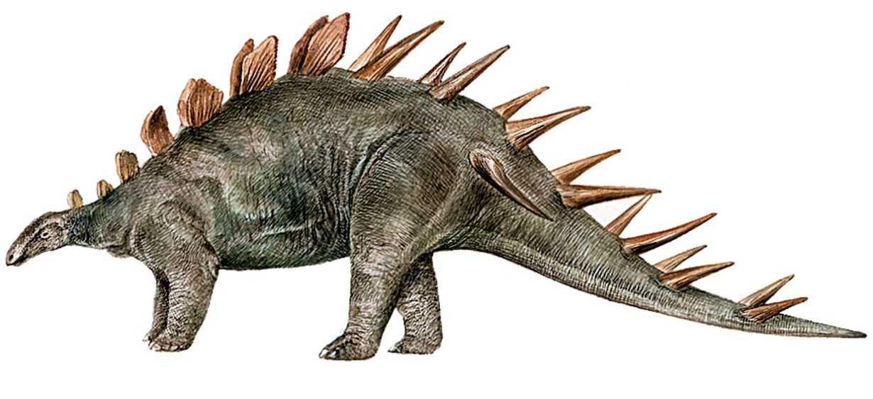 kentrozaurai - Visuotinė lietuvių enciklopedija