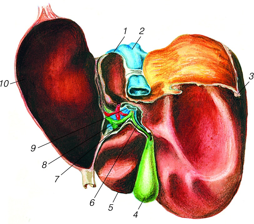 kepenys - Visuotinė lietuvių enciklopedija