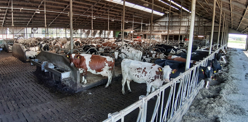 ferma - Visuotinė lietuvių enciklopedija