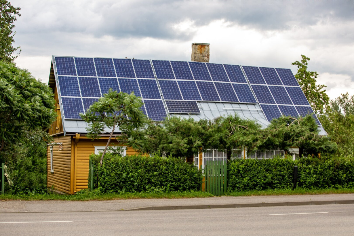 fotoelementas - Visuotinė lietuvių enciklopedija