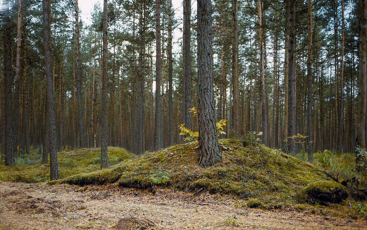 Gailiutiškės pilkapynas - Visuotinė lietuvių enciklopedija