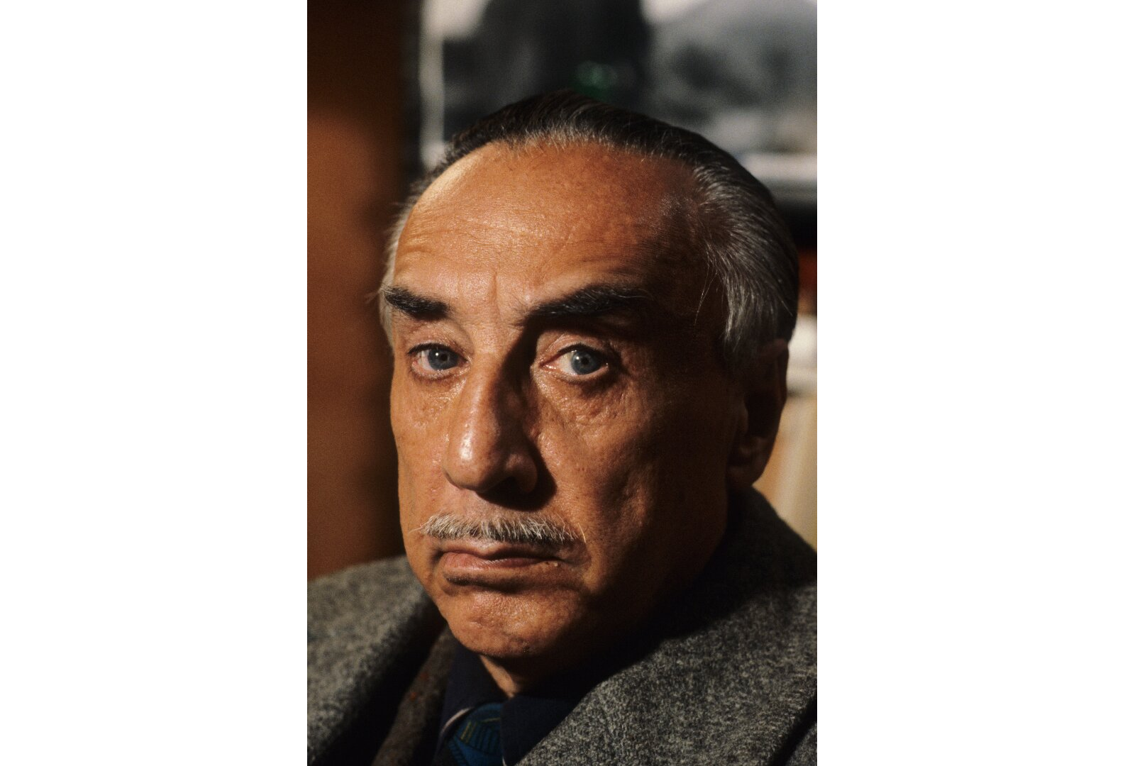 Romain Gary - Visuotinė lietuvių enciklopedija