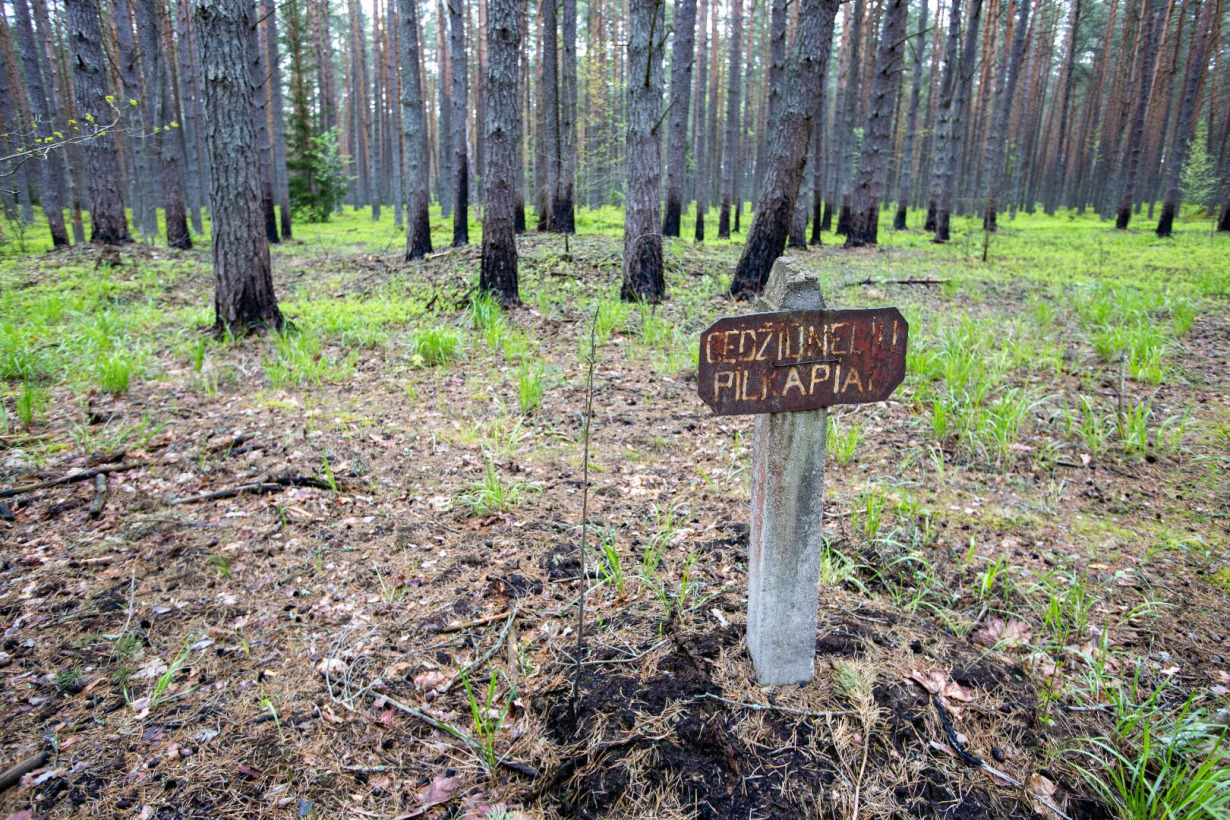 Gedžiūnėlių pilkapynas - Visuotinė lietuvių enciklopedija