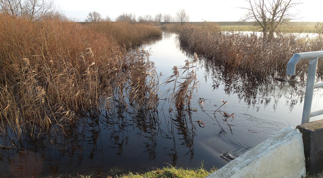 Gėgė - Visuotinė lietuvių enciklopedija
