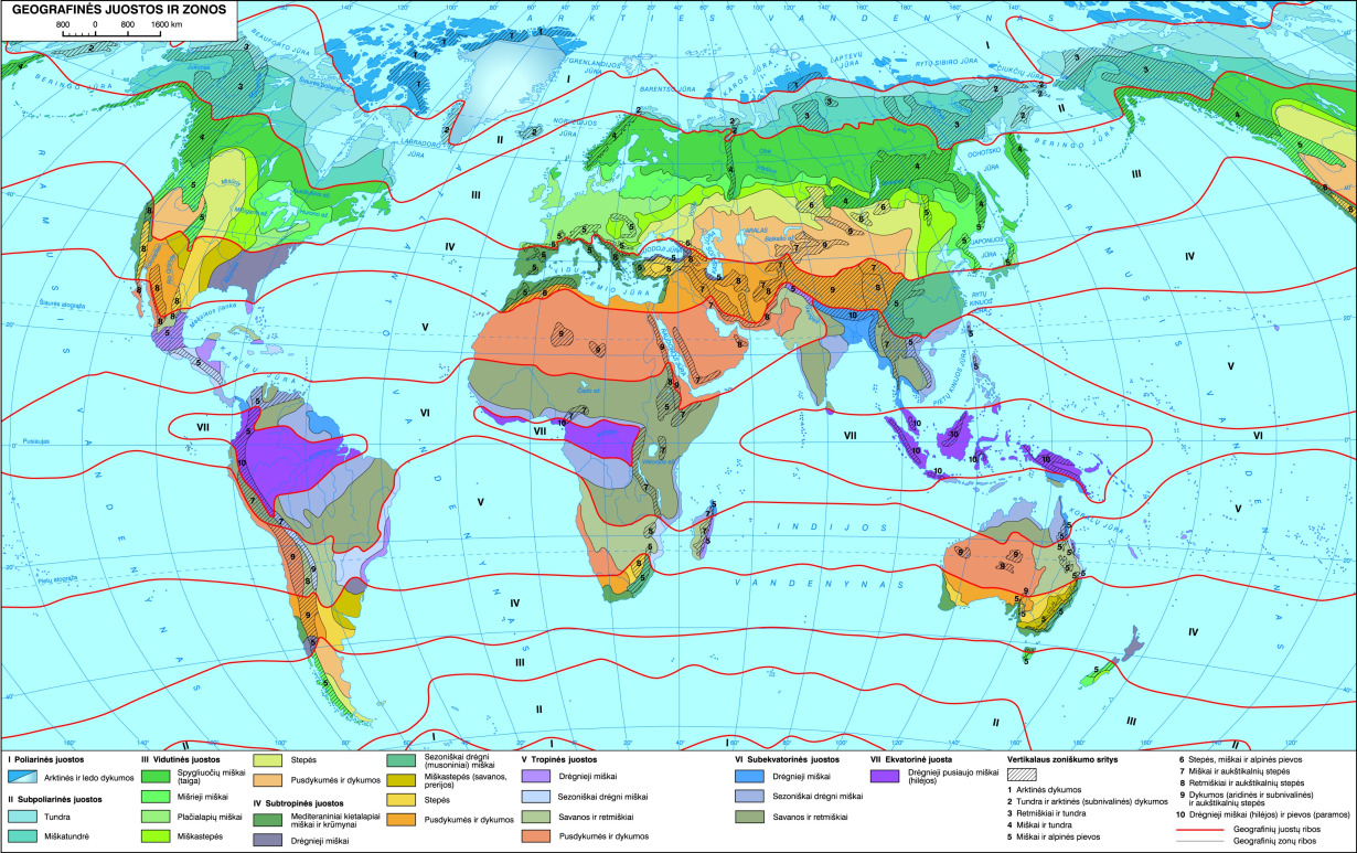 geografinės juostos - Visuotinė lietuvių enciklopedija