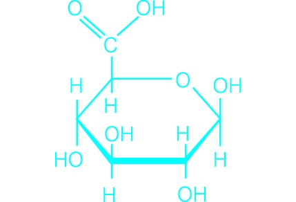gliukurono rūgštis - Visuotinė lietuvių enciklopedija