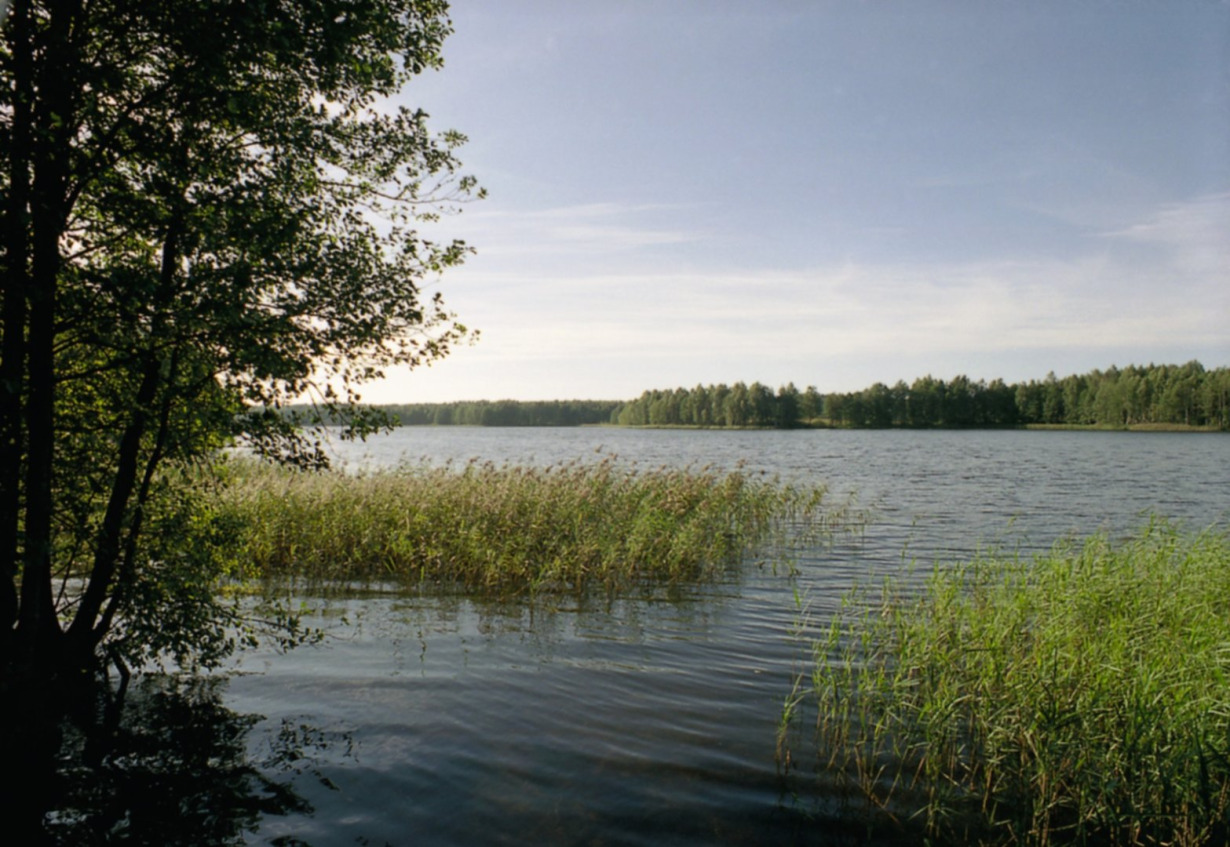 Kiaunas - Visuotinė lietuvių enciklopedija