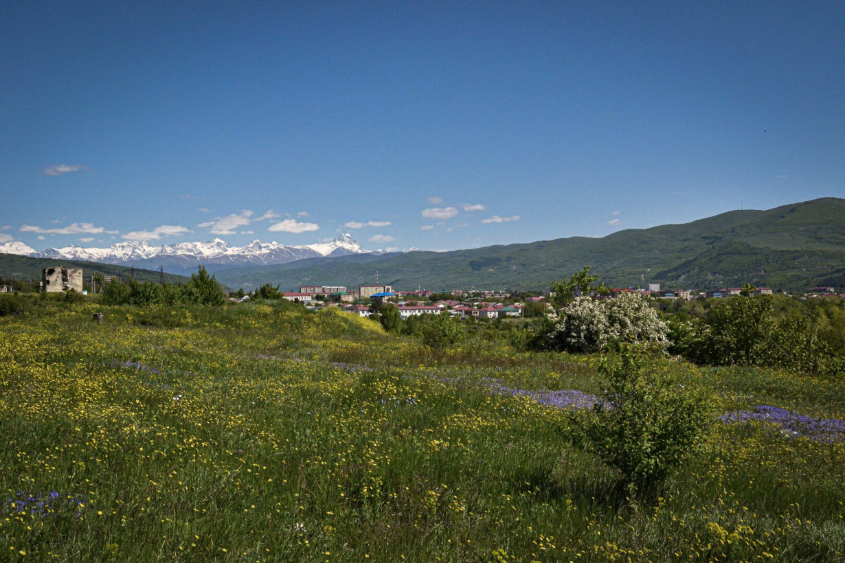 Pietų Osetija - Visuotinė lietuvių enciklopedija