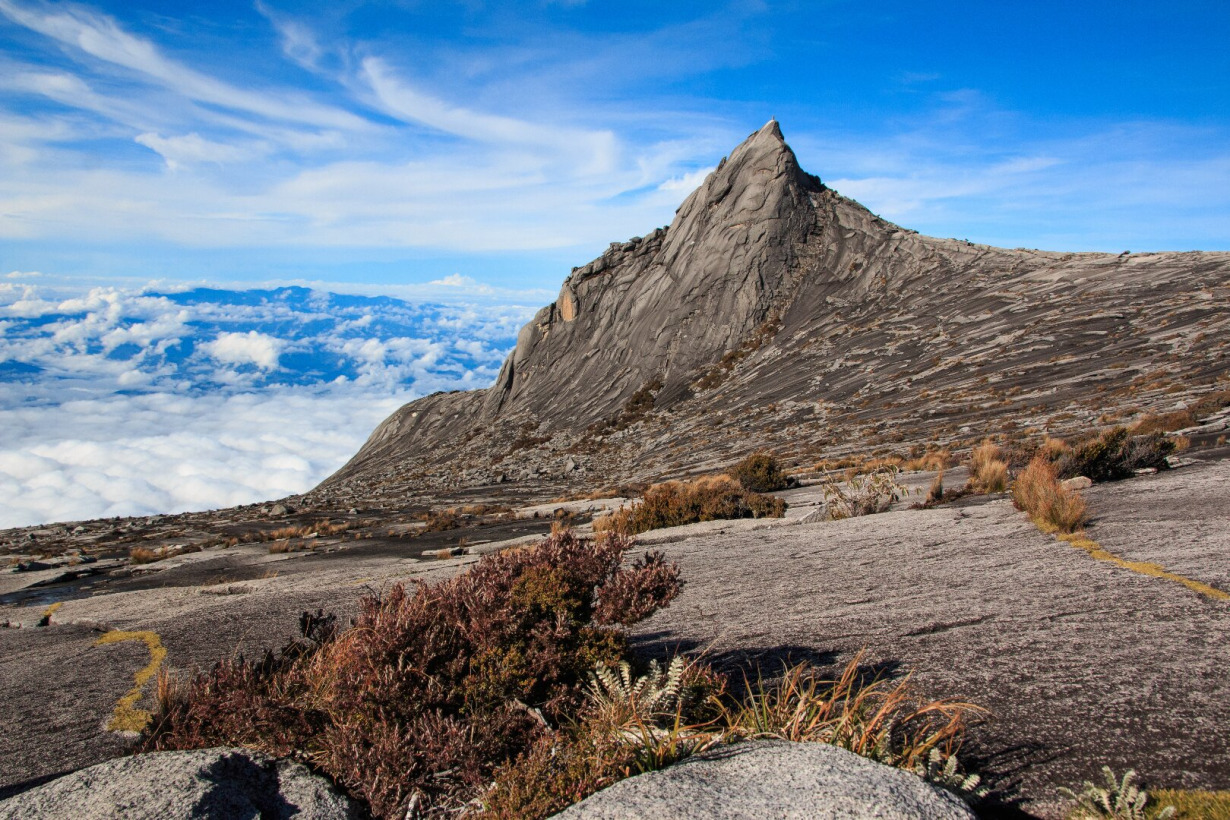 Kinabalu - Visuotinė lietuvių enciklopedija
