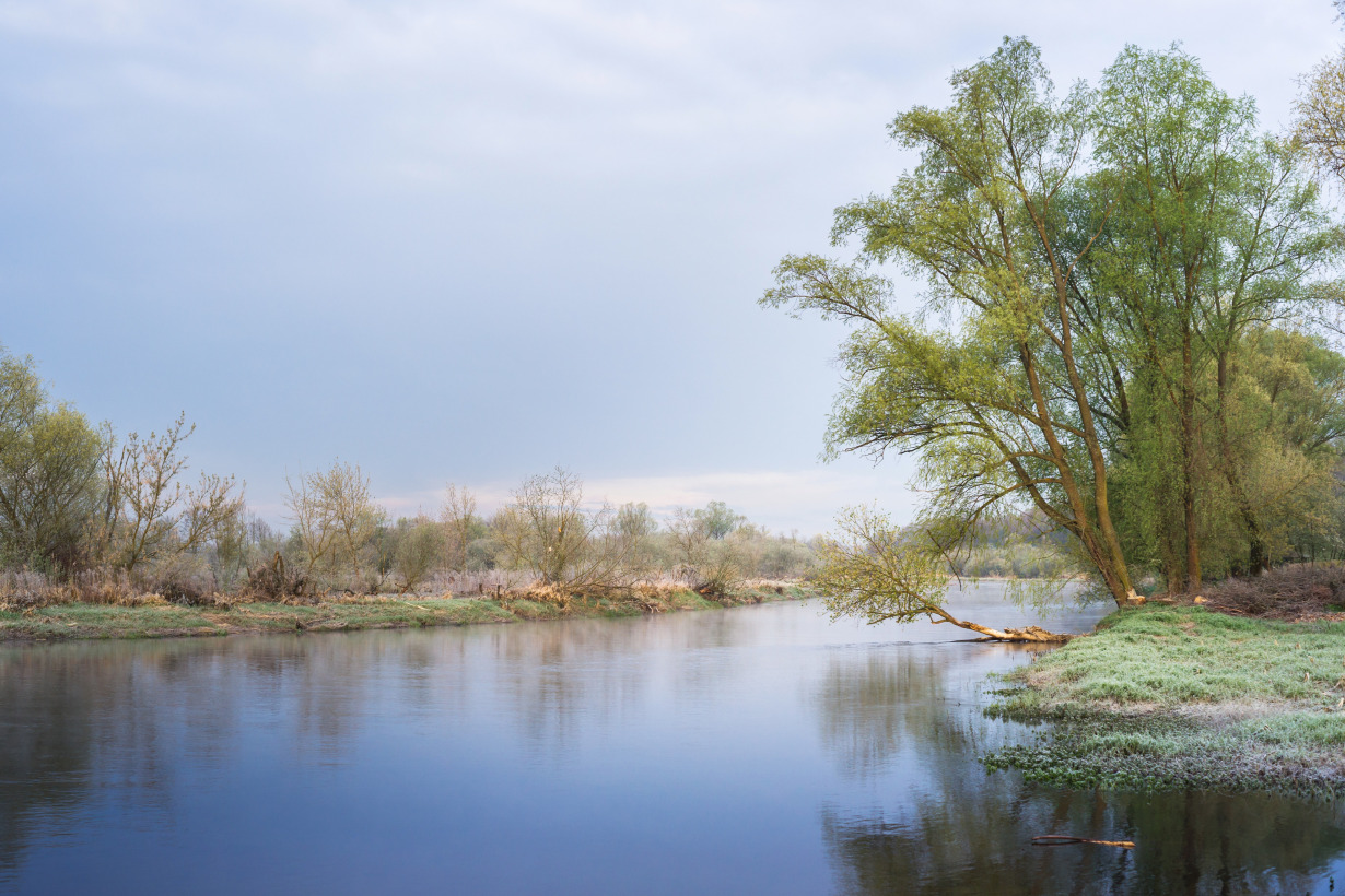 Pilica - Visuotinė lietuvių enciklopedija