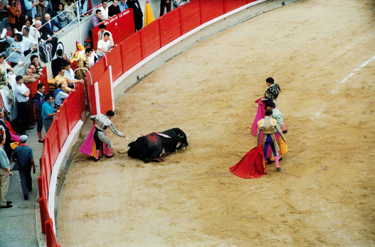 korida - Visuotinė lietuvių enciklopedija