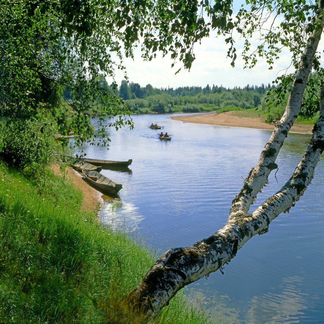 Pinega - Visuotinė lietuvių enciklopedija