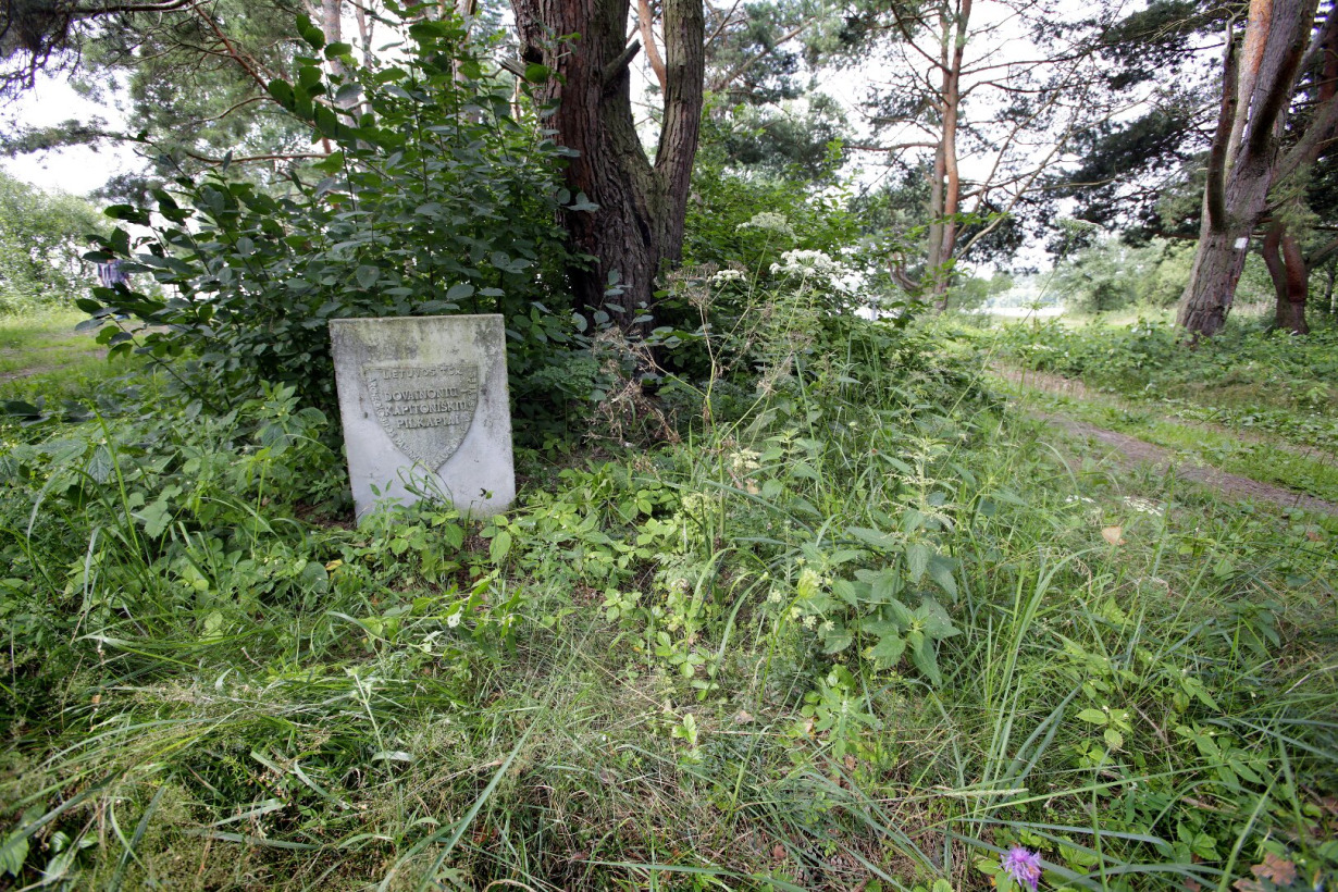 Dovainonių pilkapynai - Visuotinė lietuvių enciklopedija