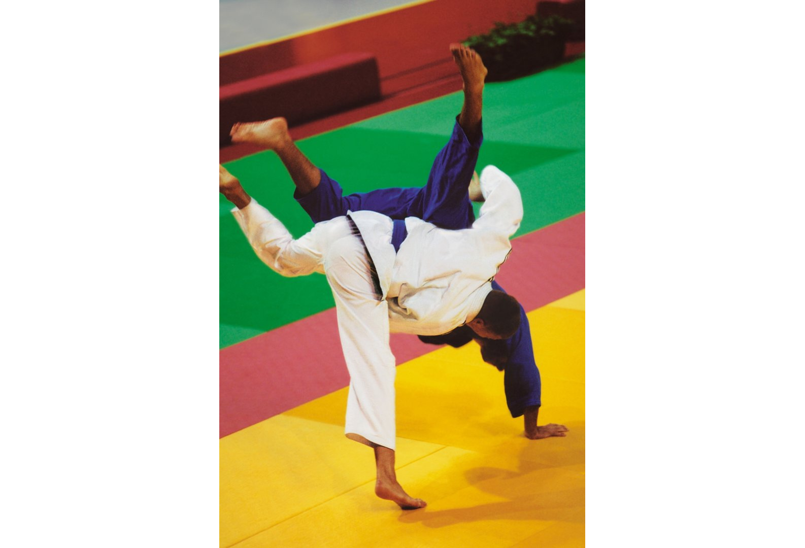 dziudo - Visuotinė lietuvių enciklopedija