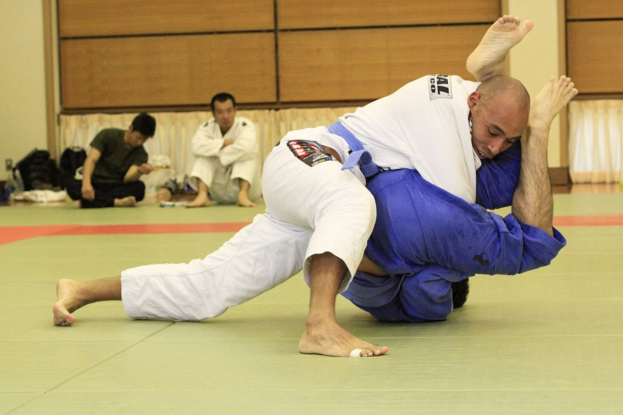 džiudžicu - Visuotinė lietuvių enciklopedija