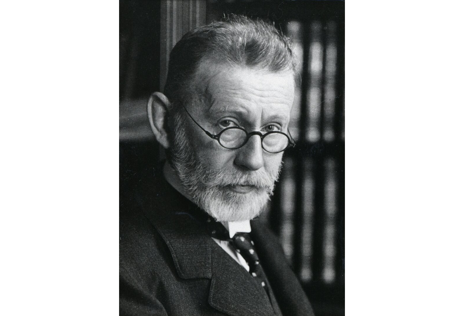 Paul Ehrlich - Visuotinė lietuvių enciklopedija