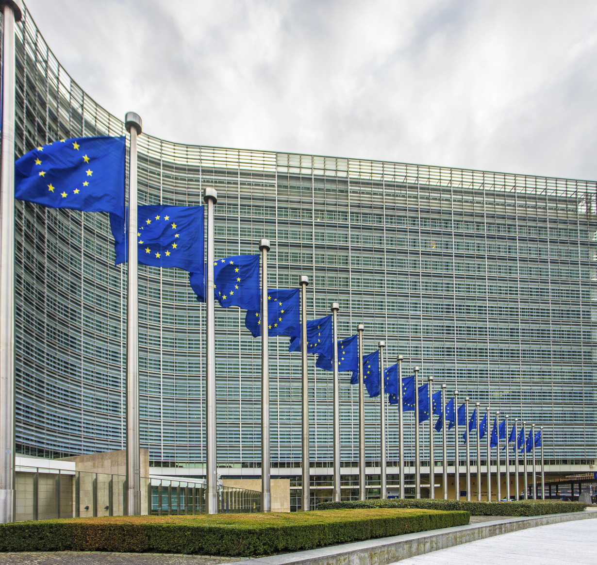 Europos Komisija - Visuotinė lietuvių enciklopedija