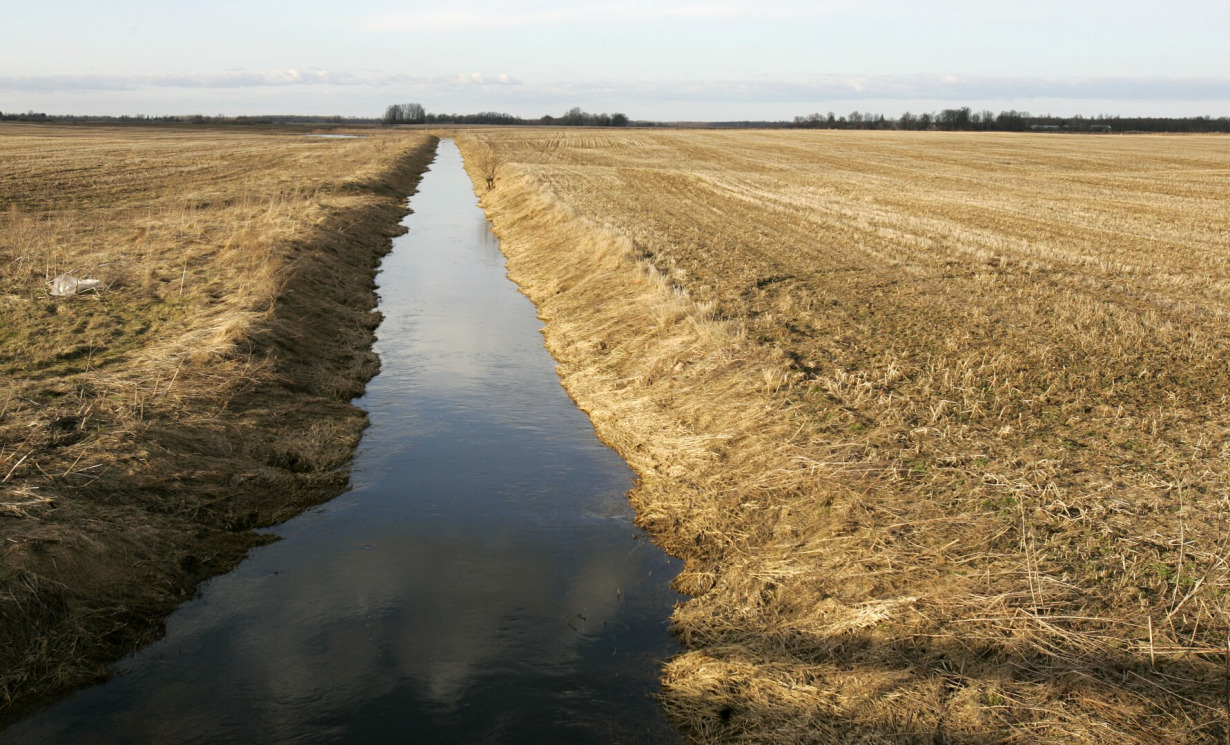 Plonė - Visuotinė lietuvių enciklopedija