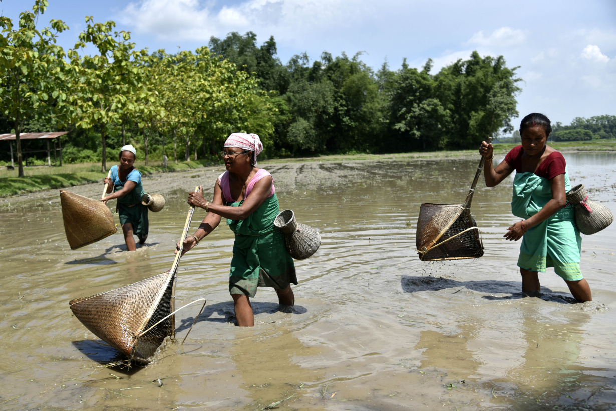 bodai - Visuotinė lietuvių enciklopedija