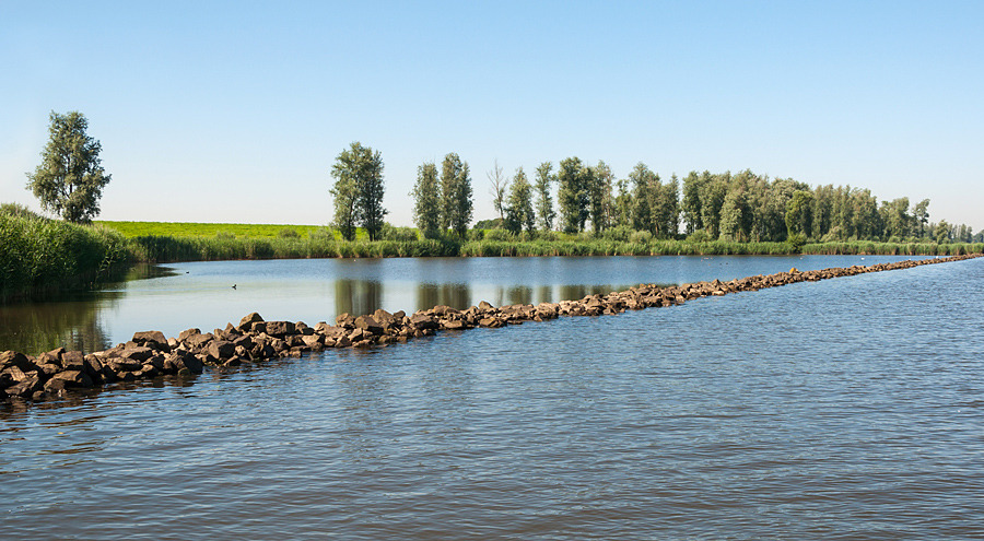 buna - Visuotinė lietuvių enciklopedija