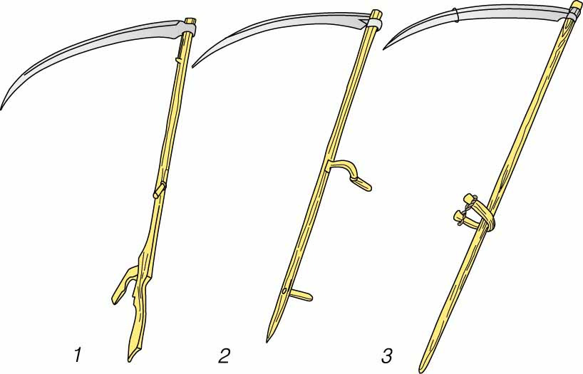 dalgis - Visuotinė lietuvių enciklopedija