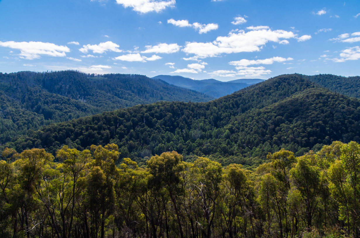 Didysis Vandenskyros kalnagūbris - Visuotinė lietuvių enciklopedija