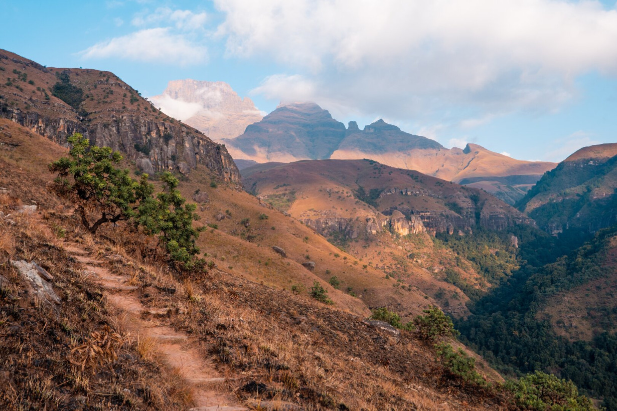 Didžioji pakopa - Visuotinė lietuvių enciklopedija